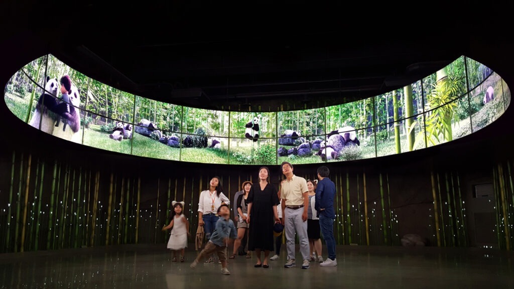 Everland Panda World Friendship Center